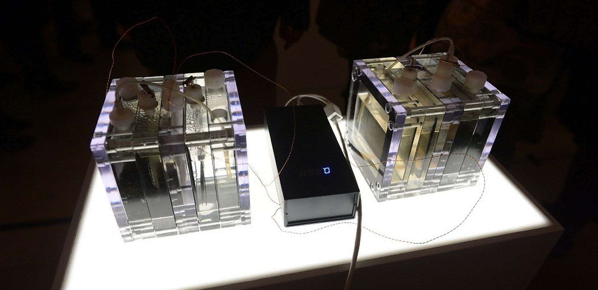 (Français) L’art de la pile microbienne aux Designers’ Days : Makery