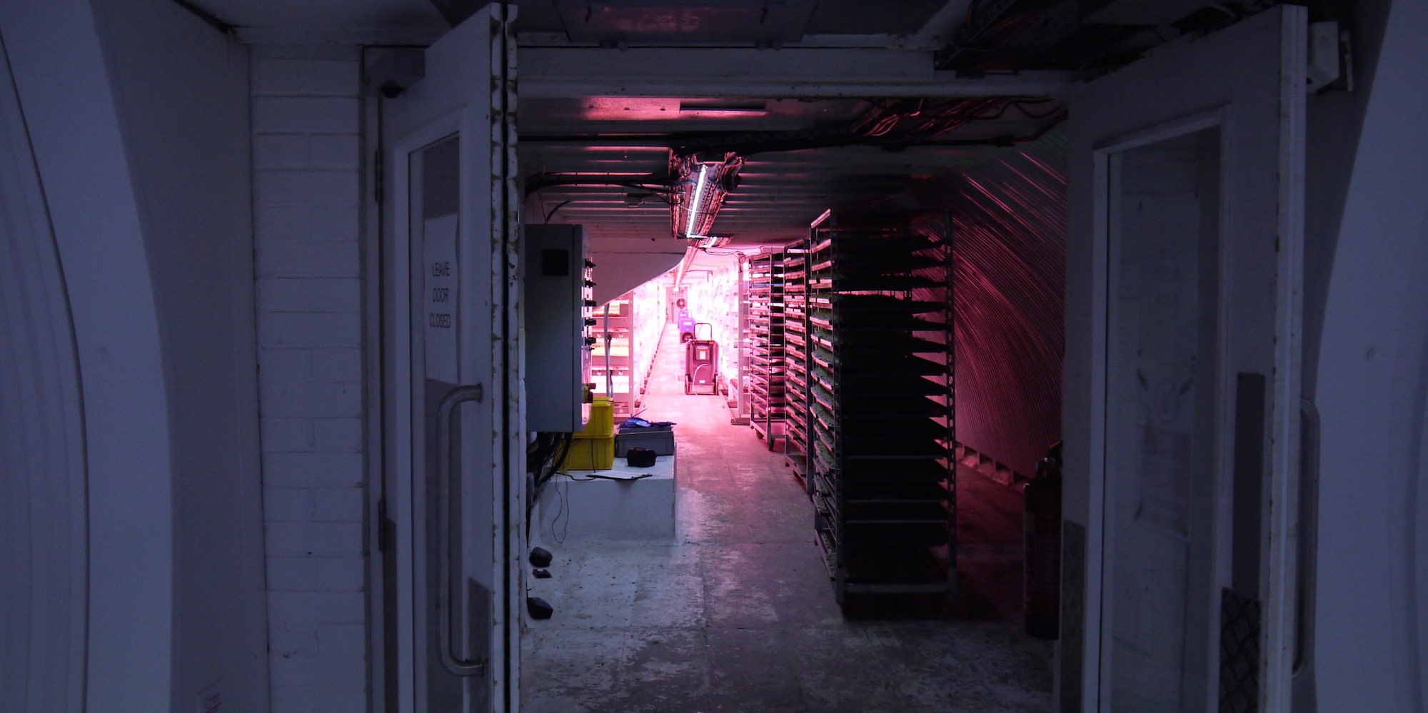 Growing Underground: sous les pavés londoniens, la ferme : Makery