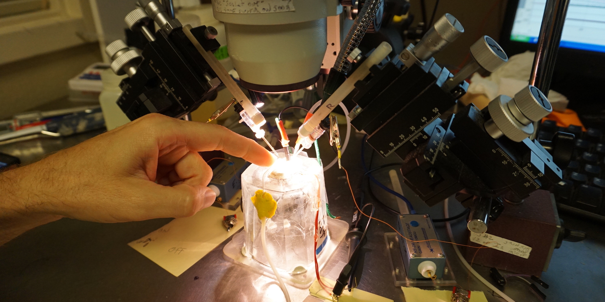 Moving and shaking DIY biotech at BioCurious : Makery