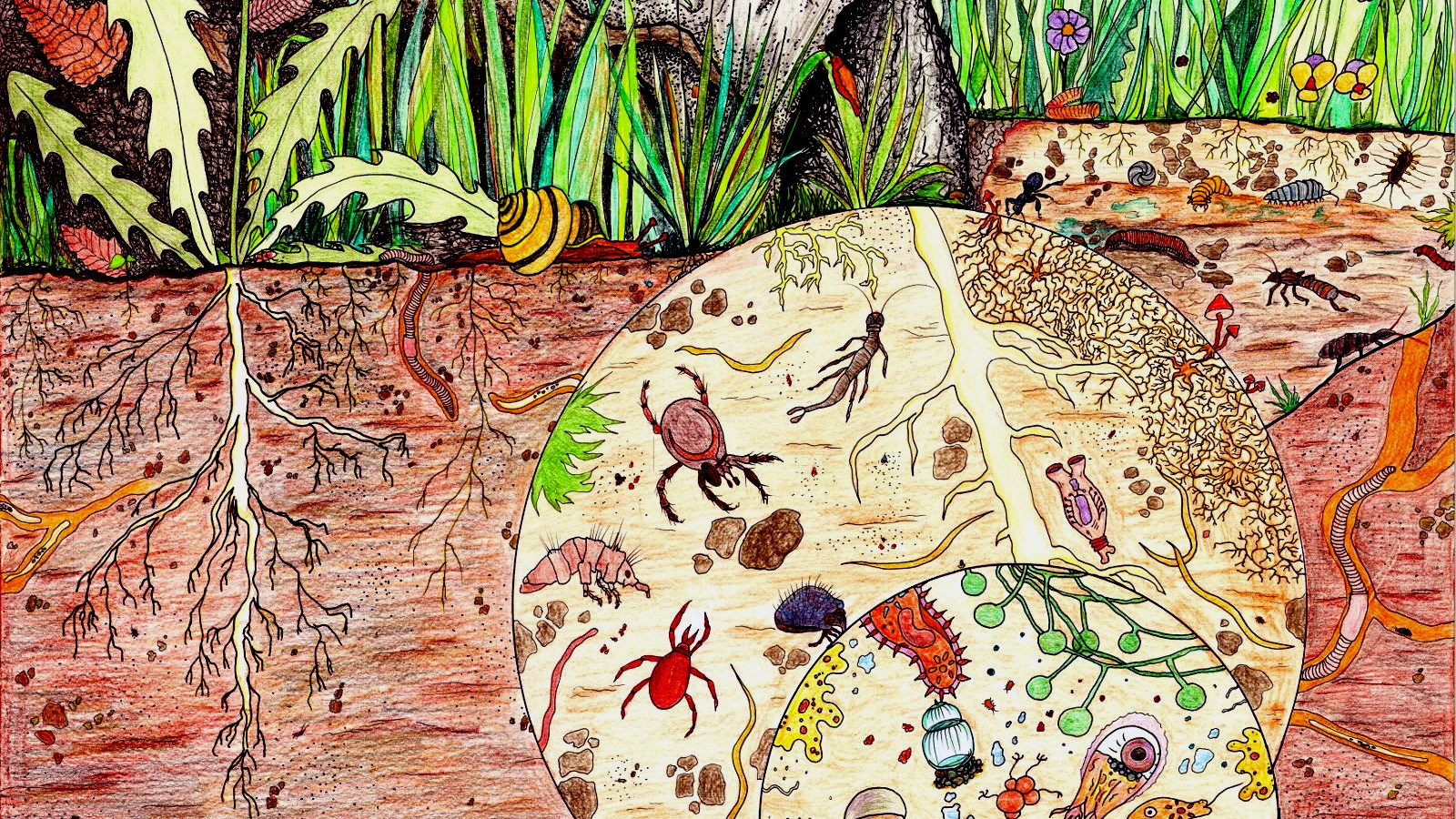 You, too, can become Humus Sapiens : Makery